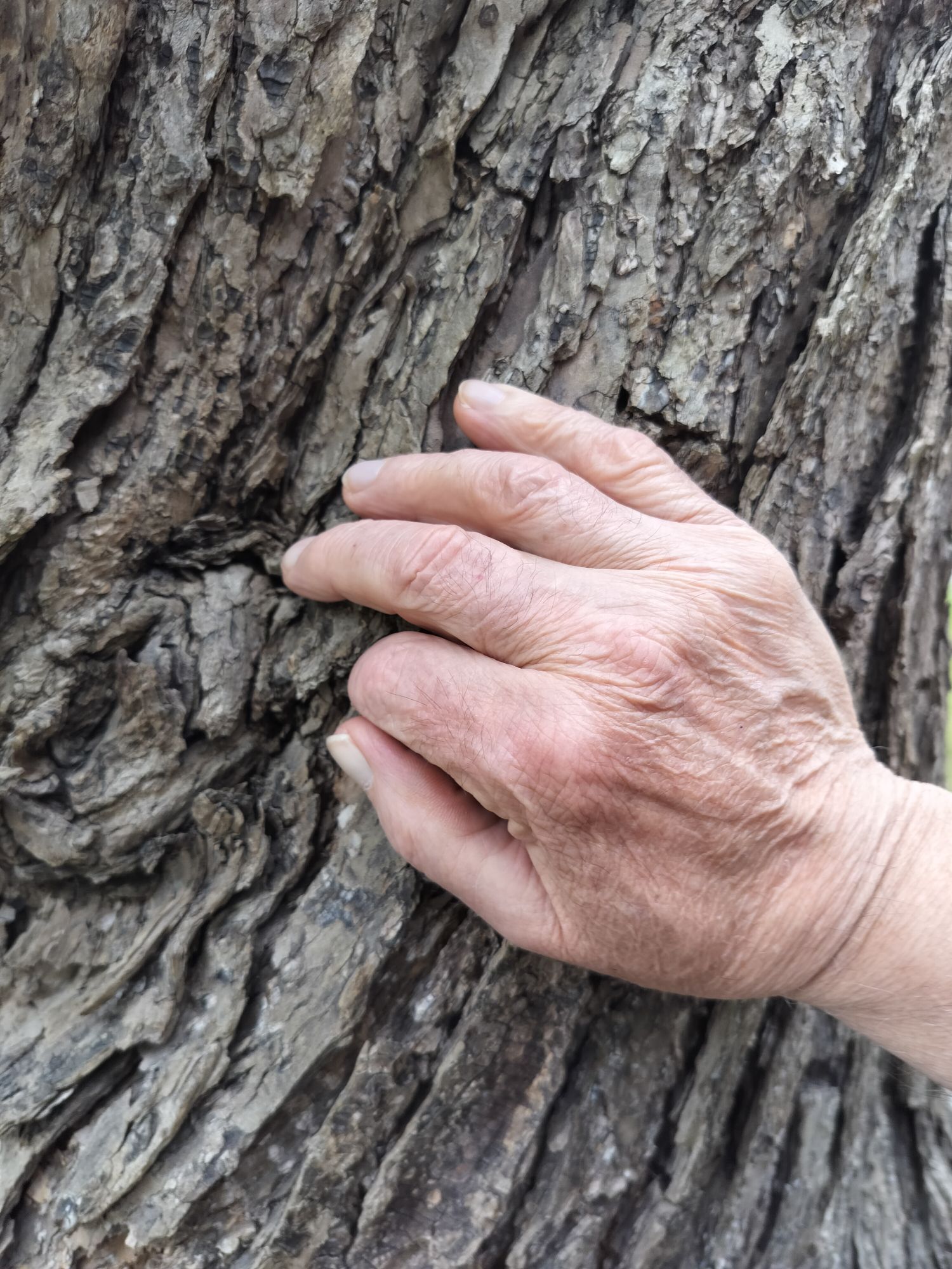 mind salvage | Memoir..Storytelling…Self Discovery