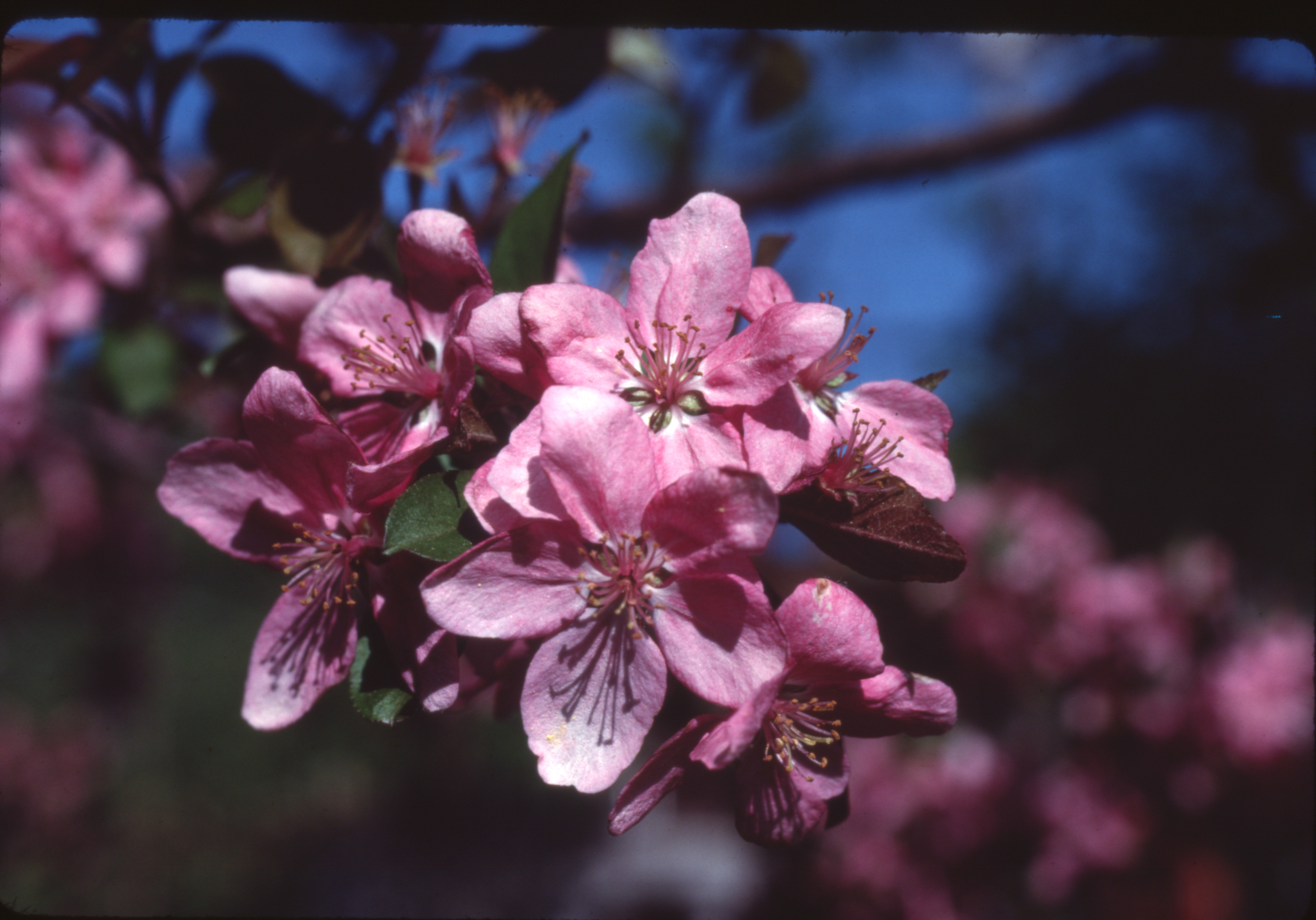 mind salvage | Memoir..Storytelling…Self Discovery